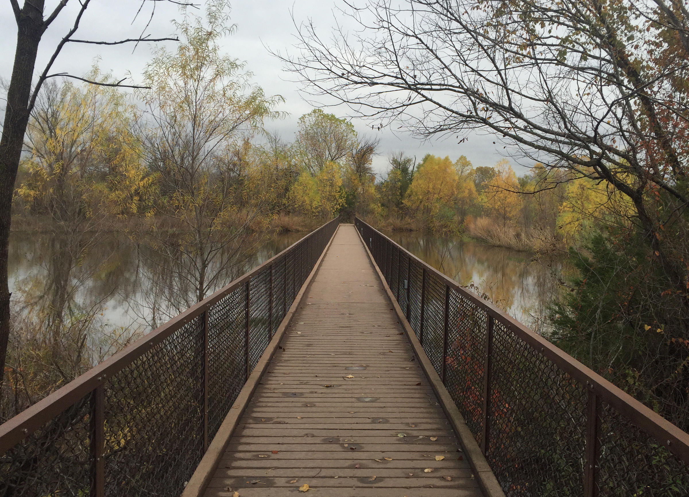 The Best Parks and Playgrounds in Dallas