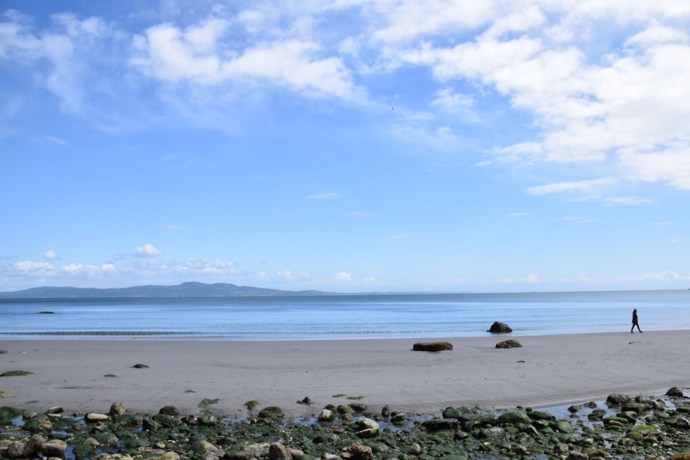 10 Beaches in Greater Victoria Perfect For Kids & Families