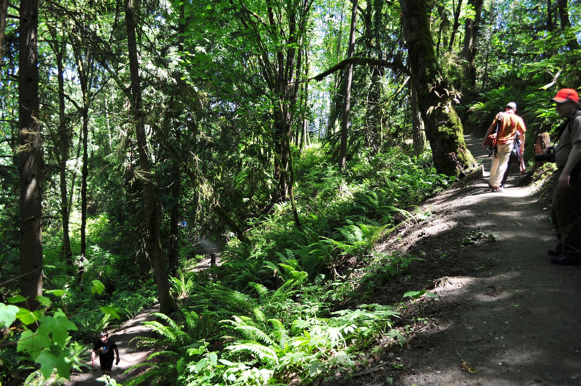 9 Kid-Friendly Hikes in the Seattle Area