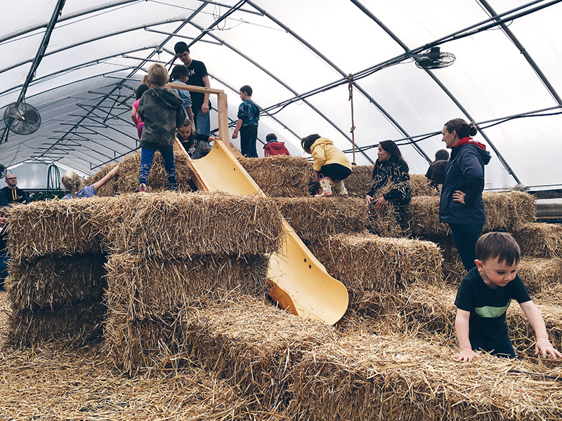 The 10 Best Corn Mazes & Pumpkin Patches around Seattle 2022