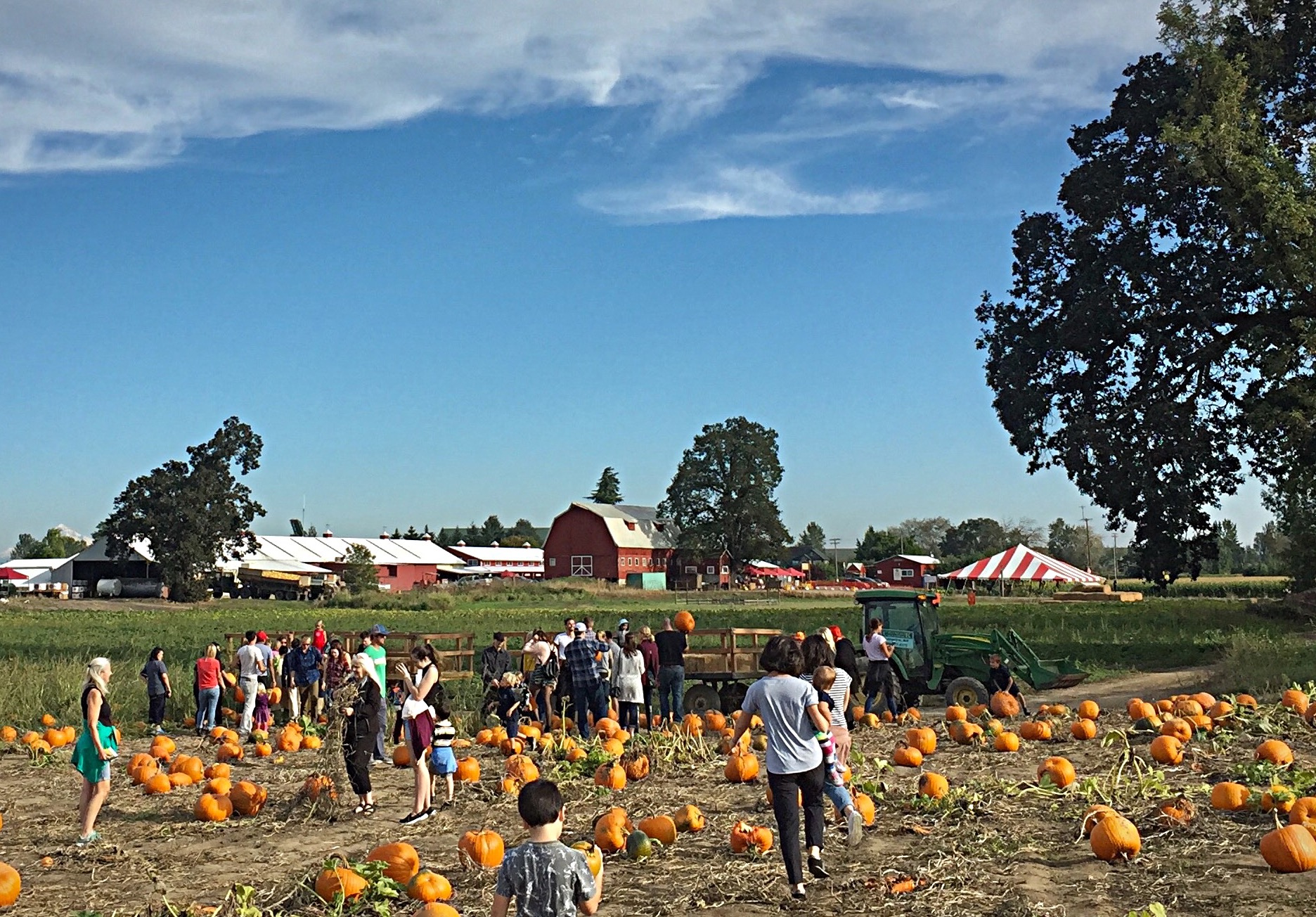 The 8 Best Corn Mazes & Pumpkin Patches in Portland