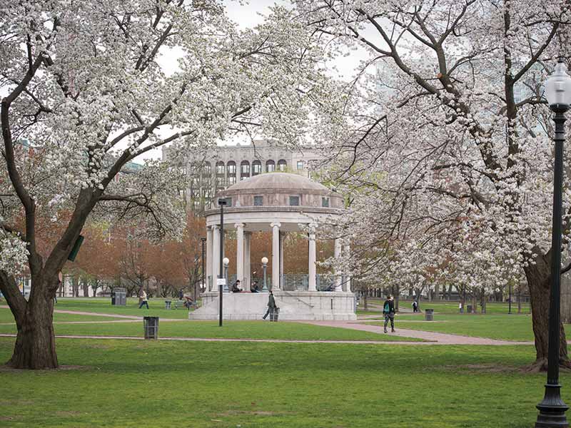 The Best Playgrounds and Parks in Halifax