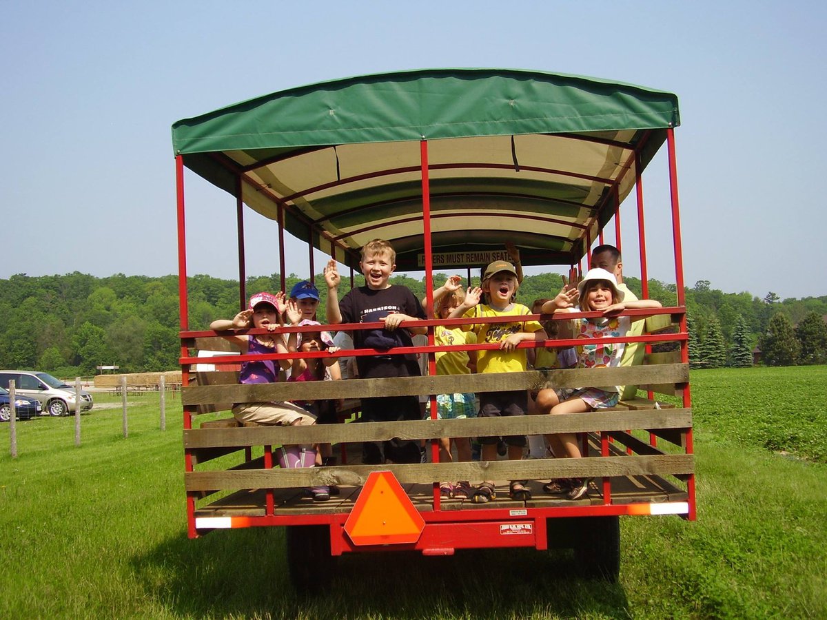 15 Things To Do in Hamilton With Kids