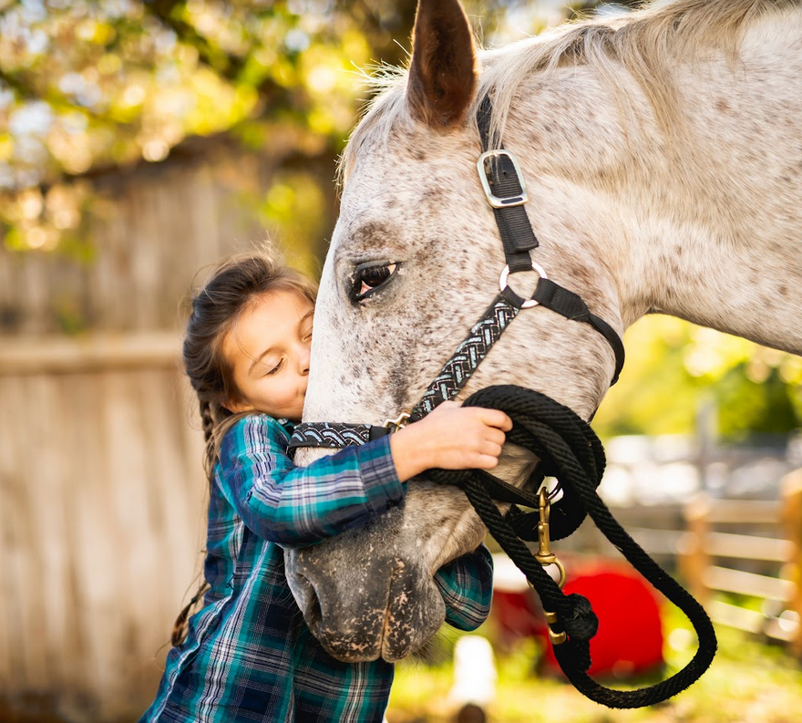 Selecting the Right Horseback Riding Camp for Kids