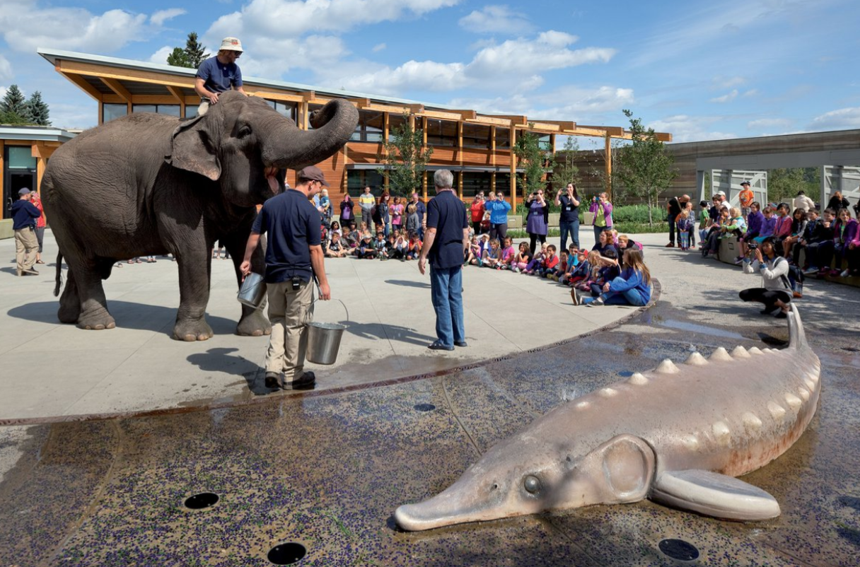 20 Things to Do in Edmonton with Kids