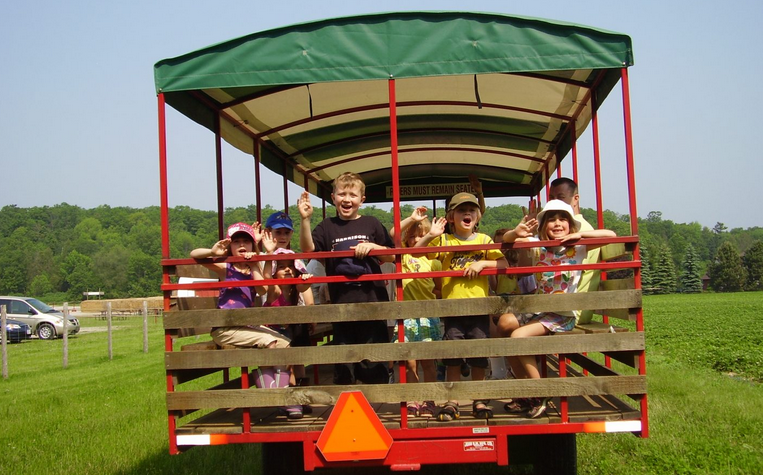 15 Things To Do in Hamilton With Kids