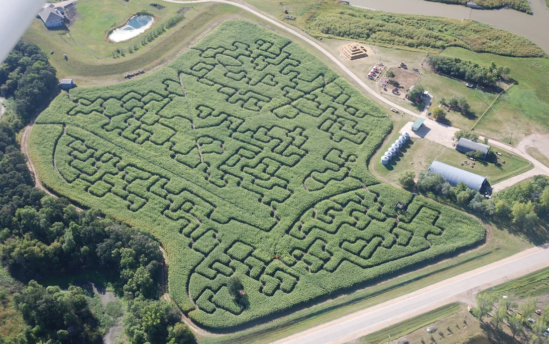 Top 3 Corn Mazes & Pumpkin Patches in Winnipeg