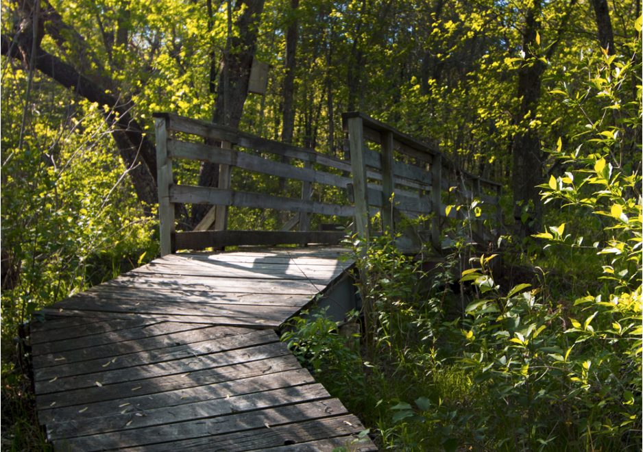 Family-Friendly Hikes & Trails in Saskatoon