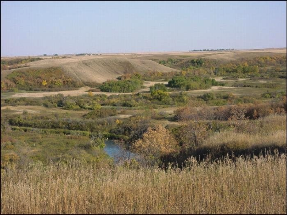 Family-Friendly Hikes & Trails in Regina