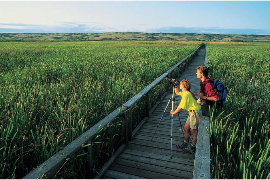 Family-Friendly Hikes & Trails in Regina