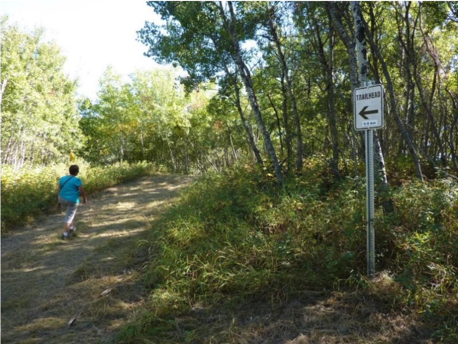 Family-Friendly Hikes & Trails in Regina