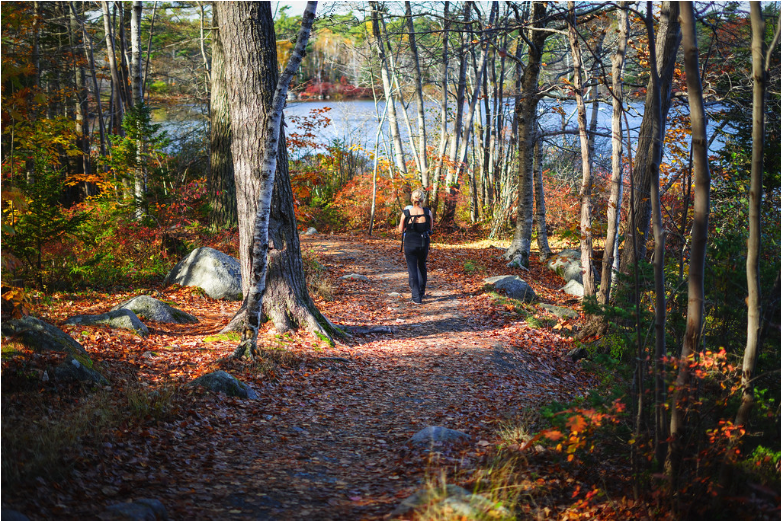 Family-Friendly Hikes & Trails in Halifax