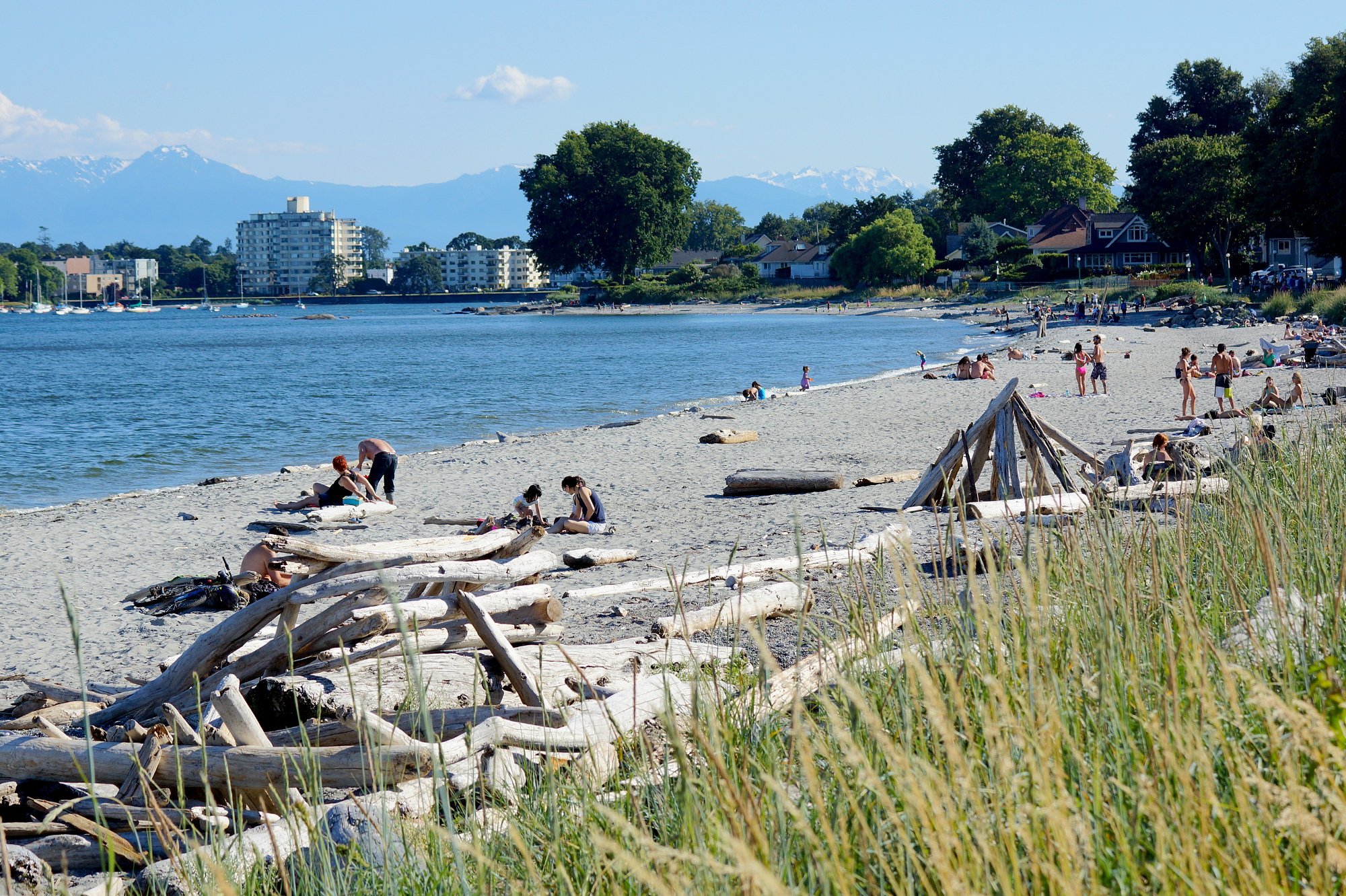 Victoria Bc Beaches For Swimming