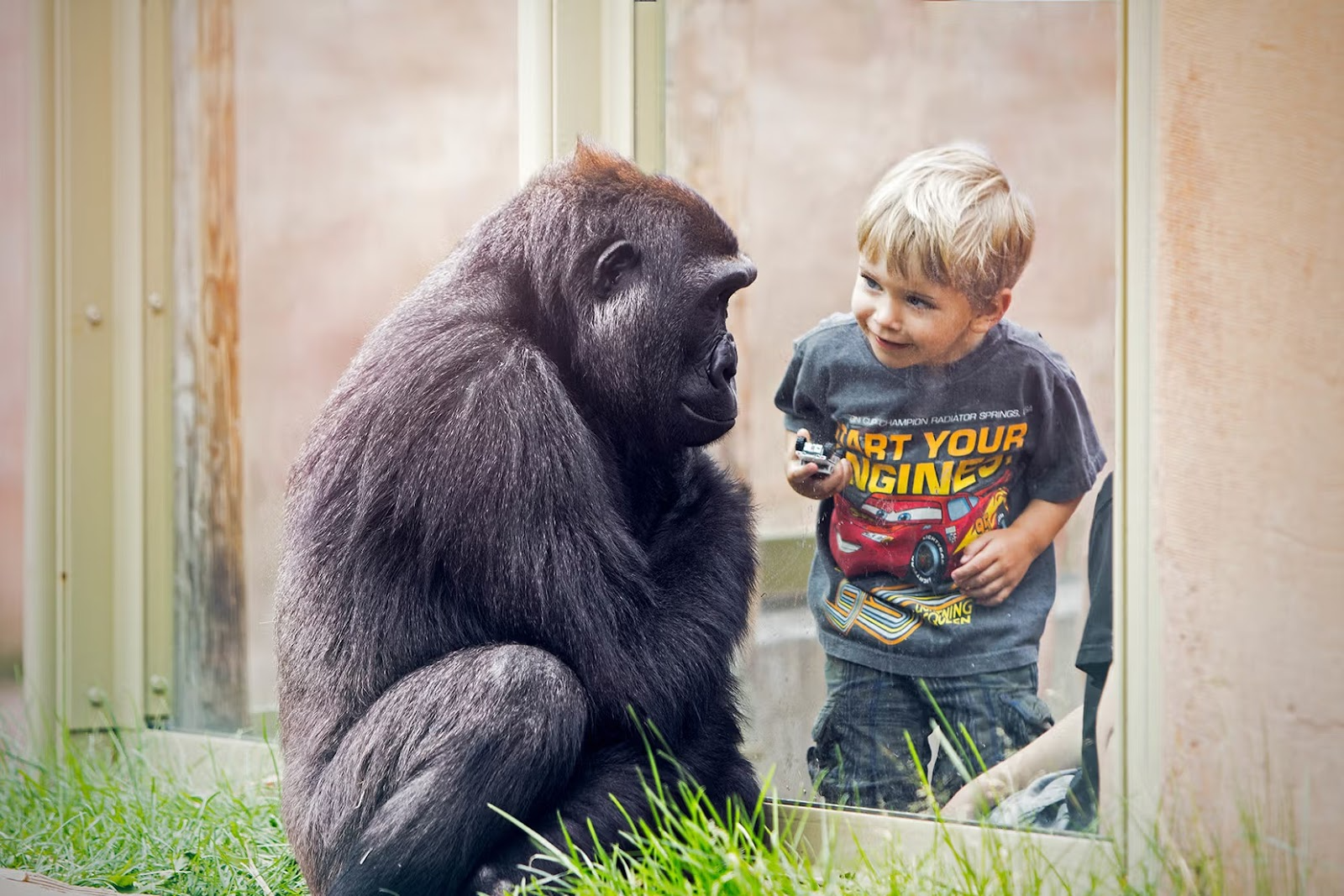 The Ultimate Guide: 101 Unforgettable Things to Do with Kids in Calgary ...